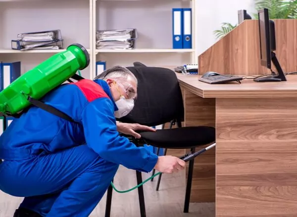 Your #1 Choice for Office Pest Management | Green Pest Management
